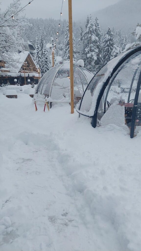 Royal Dome - Garden Dining Pod - Garden Dome - Dining Dome